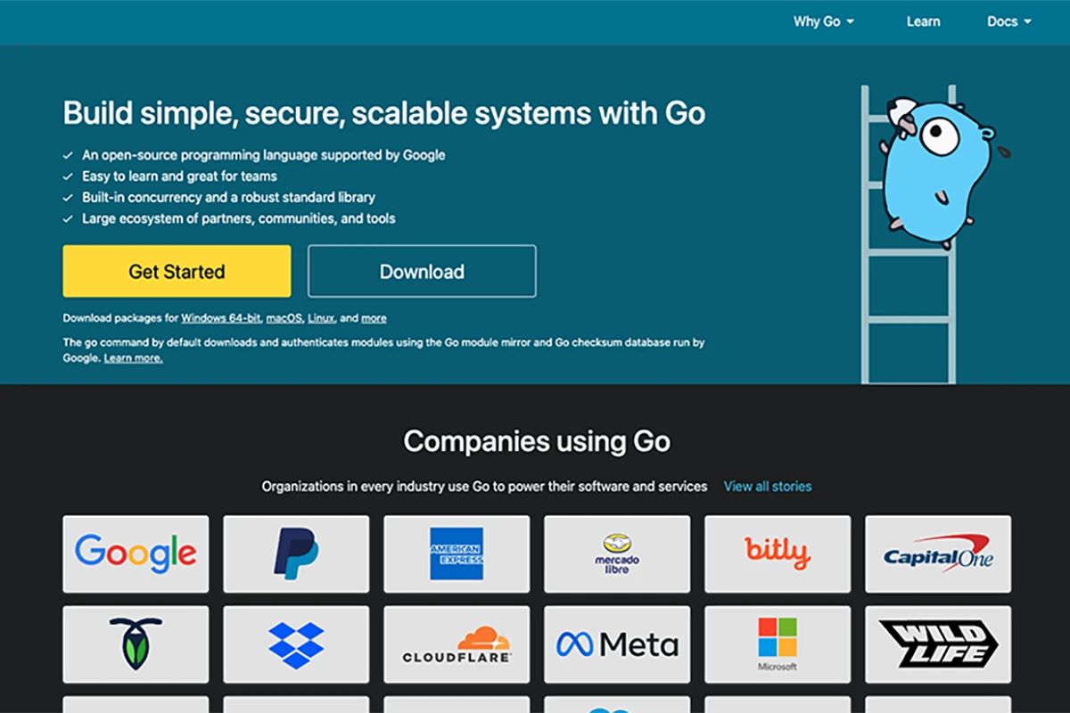 What is GoLang? A Beginner’s Guide for Beginners